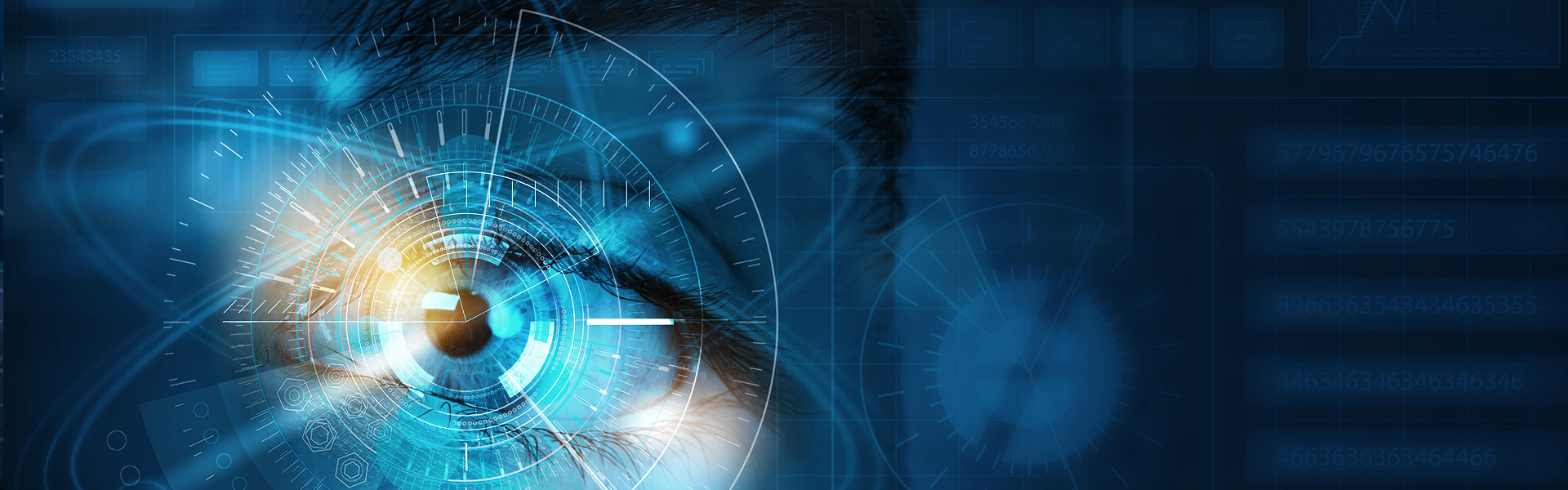 Roxy AI | 脱ブラックボックス 見える、触ってわかるAI検査