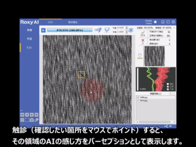 Roxy AI | 脱ブラックボックス 見える、触ってわかるAI検査